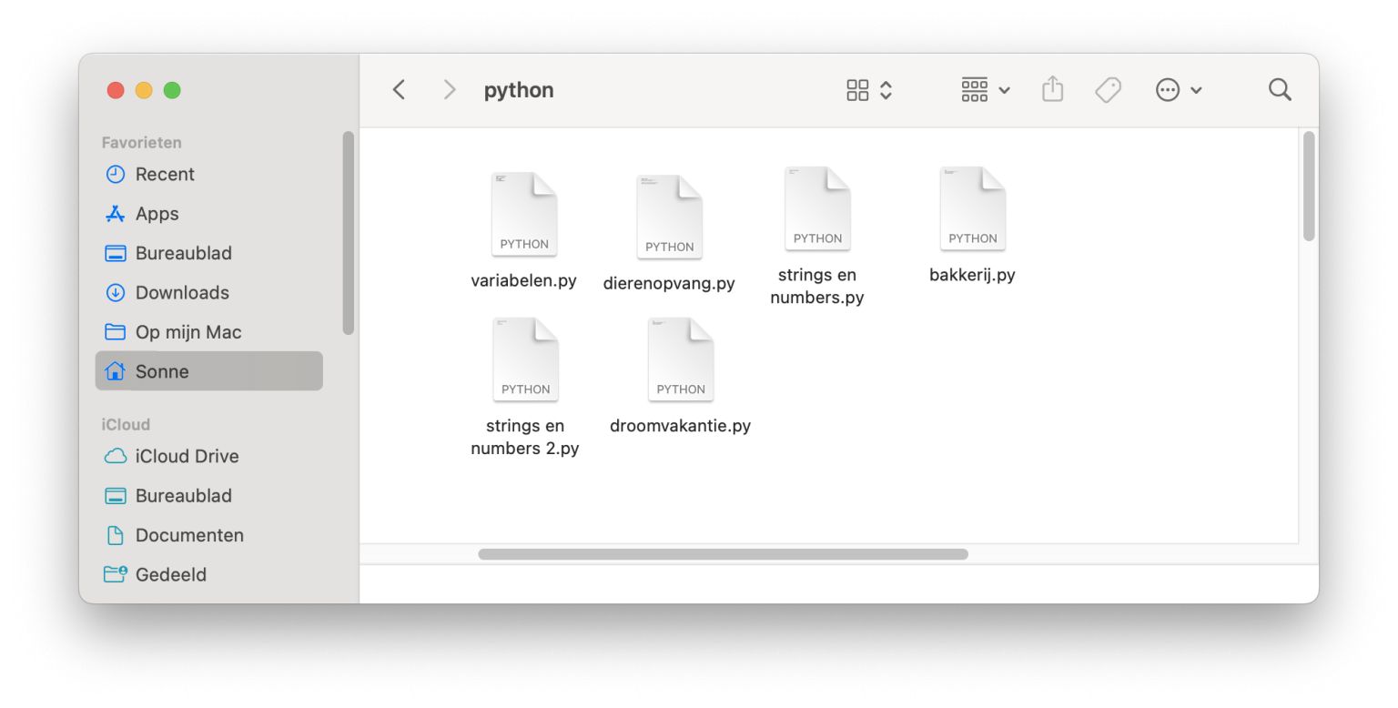 python beginnen – Prikkels Trainingen Aruba